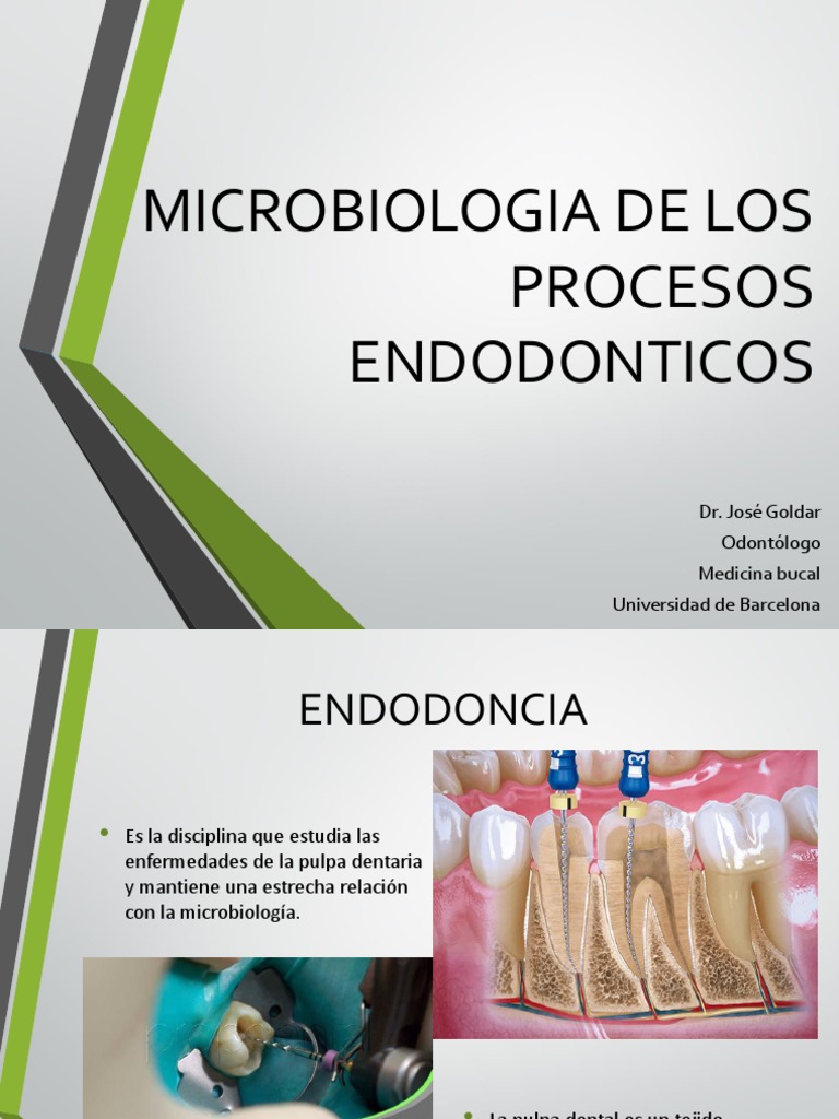 Micro Endo Final | PDF | Inmunología | Microbiología