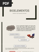 Alimentos Que Contienen Los Bioelementos Primarios | PDF | Calcio | Potasio
