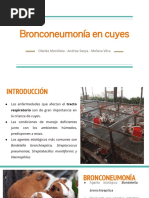 Visita Al Rastro | PDF | Carne | Matadero