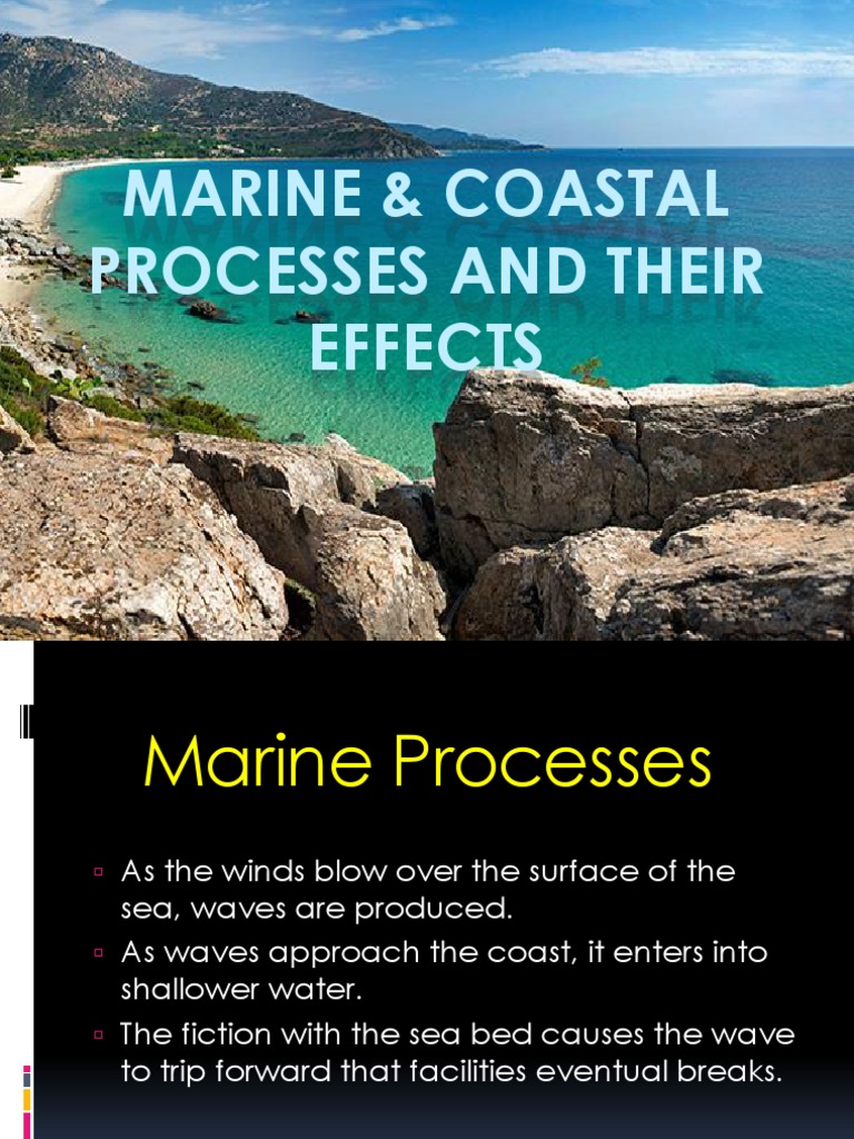 Marine & Coastal Processes and Their Effects | PDF | Erosion | Beach