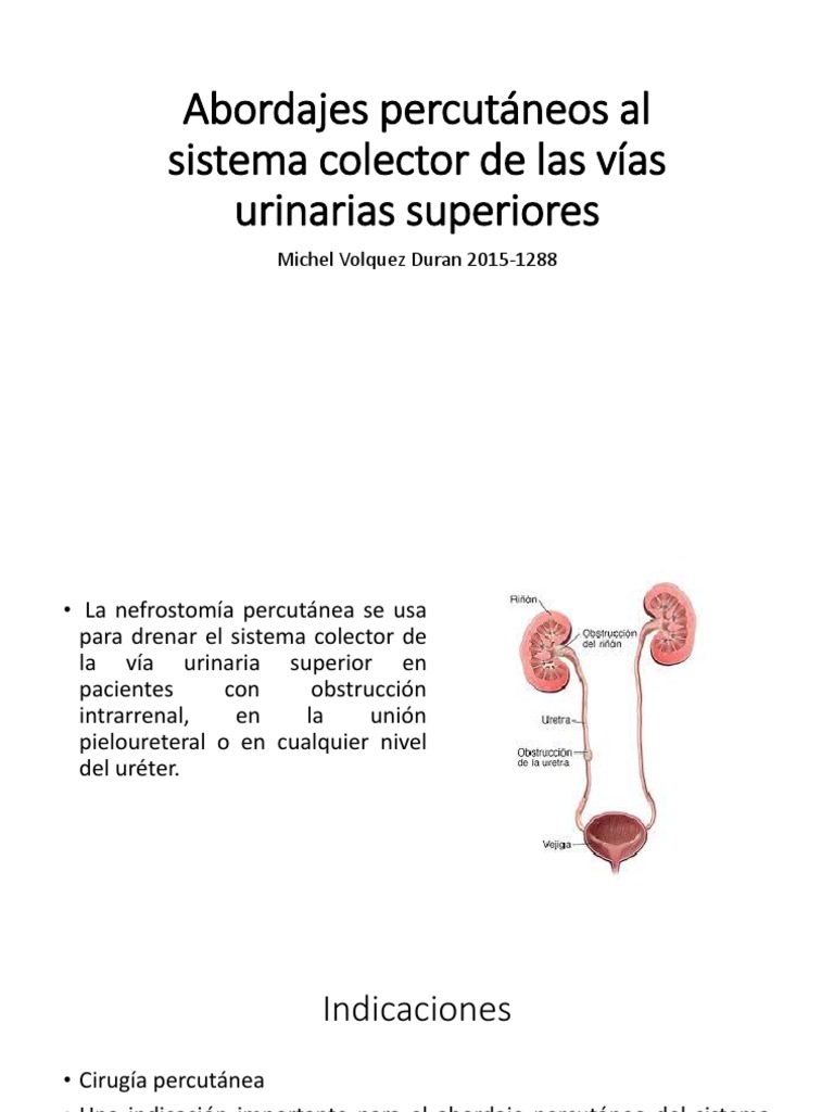 Abordajes Percutáneos Al Sistema Colector de Las Vías | PDF | Riñón ...