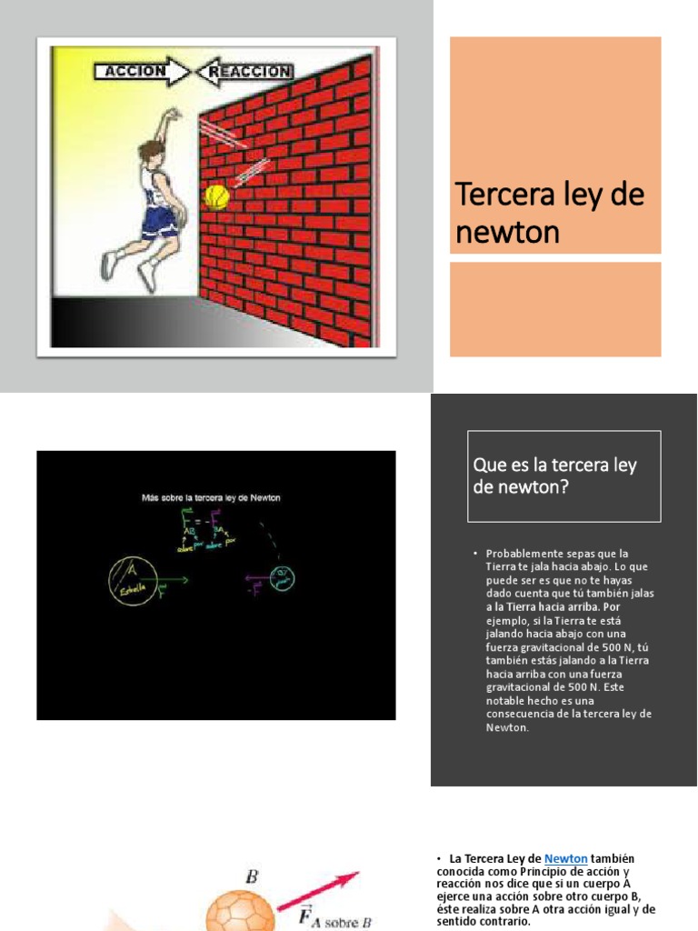 Tercera Ley de Newton | PDF | Las leyes del movimiento de Newton ...