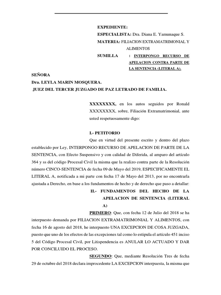 MODELO DE APELACIÓN DE SENTENCIA JUZGADO DE PAZ LETRADO | Demanda judicial | Apelación