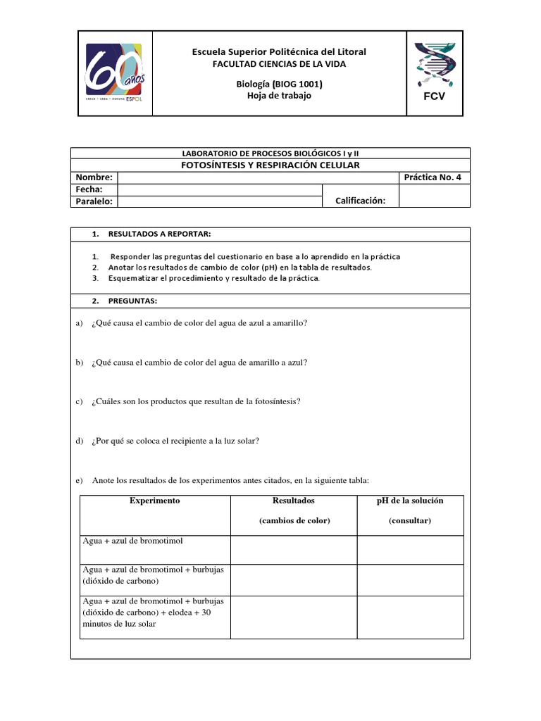 Práctica 4.1 Hoja de Trabajo Fotosíntesis y Respiración Celular | PDF
