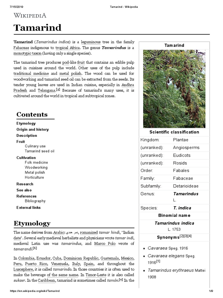 Tamarind | PDF | Food And Drink | Nature