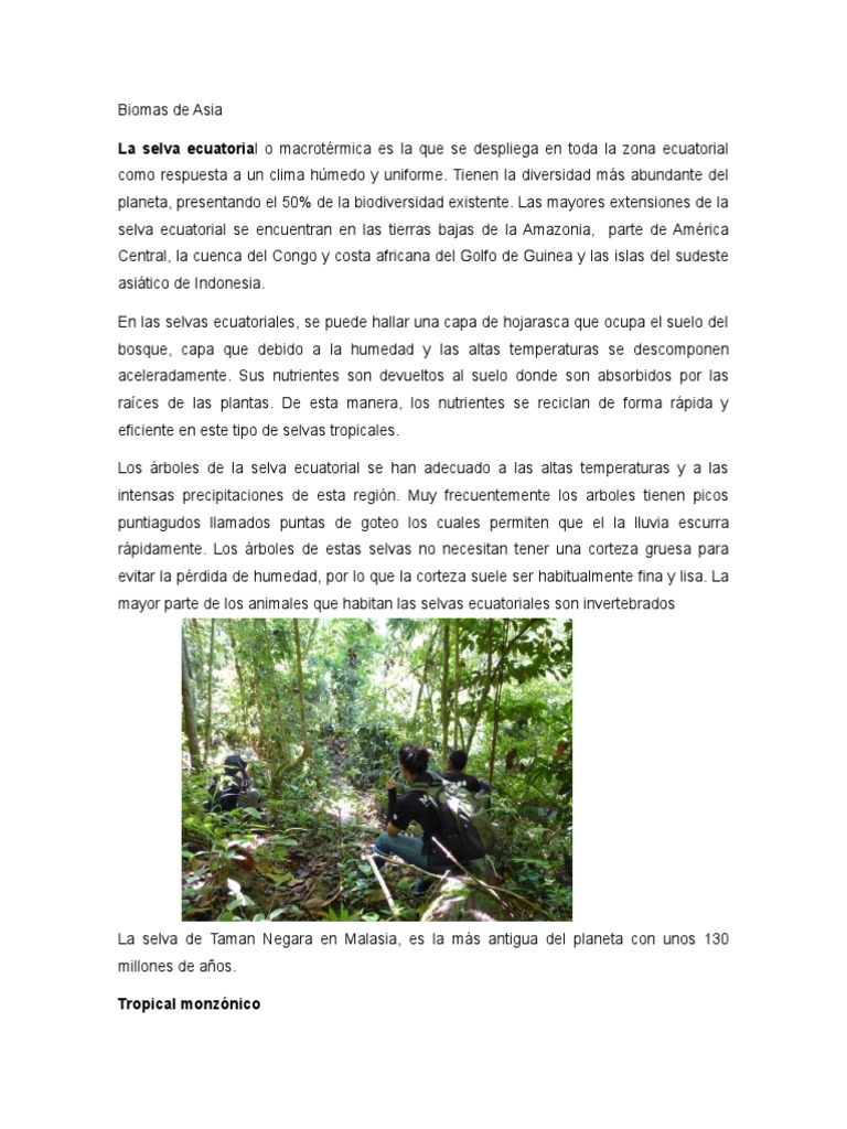Biomas de Asia | PDF | Selva | Conservación del medio ambiente