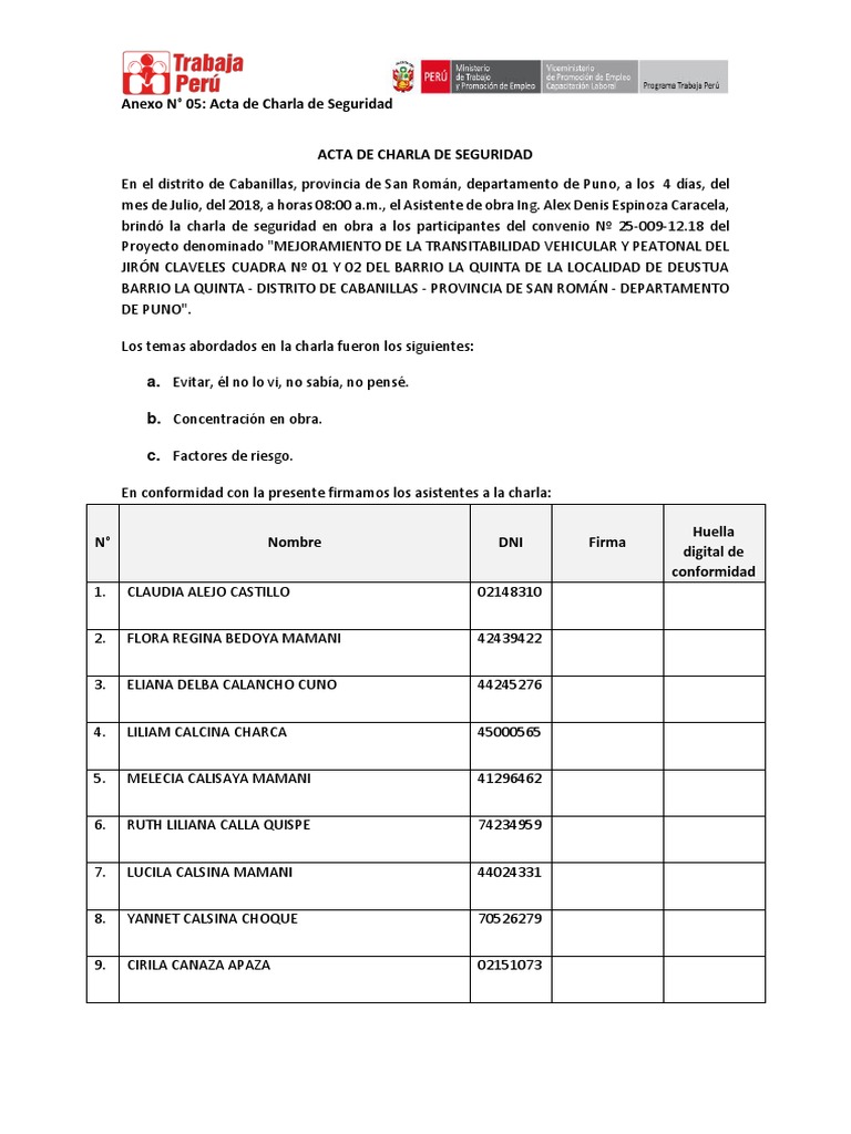 Acta de Charla de Seguridad | PDF