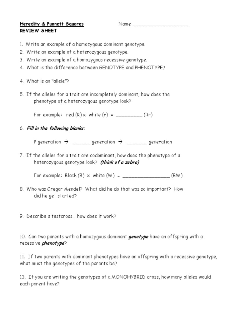Heredity Review Sheet | PDF
