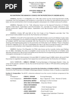 BCPC Reorganization Executive Order | PDF | Government | Childhood