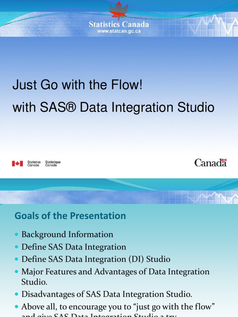 Just Go With The Flow! With SAS® Data Integration Studio | PDF | Sas (Software) | Metadata