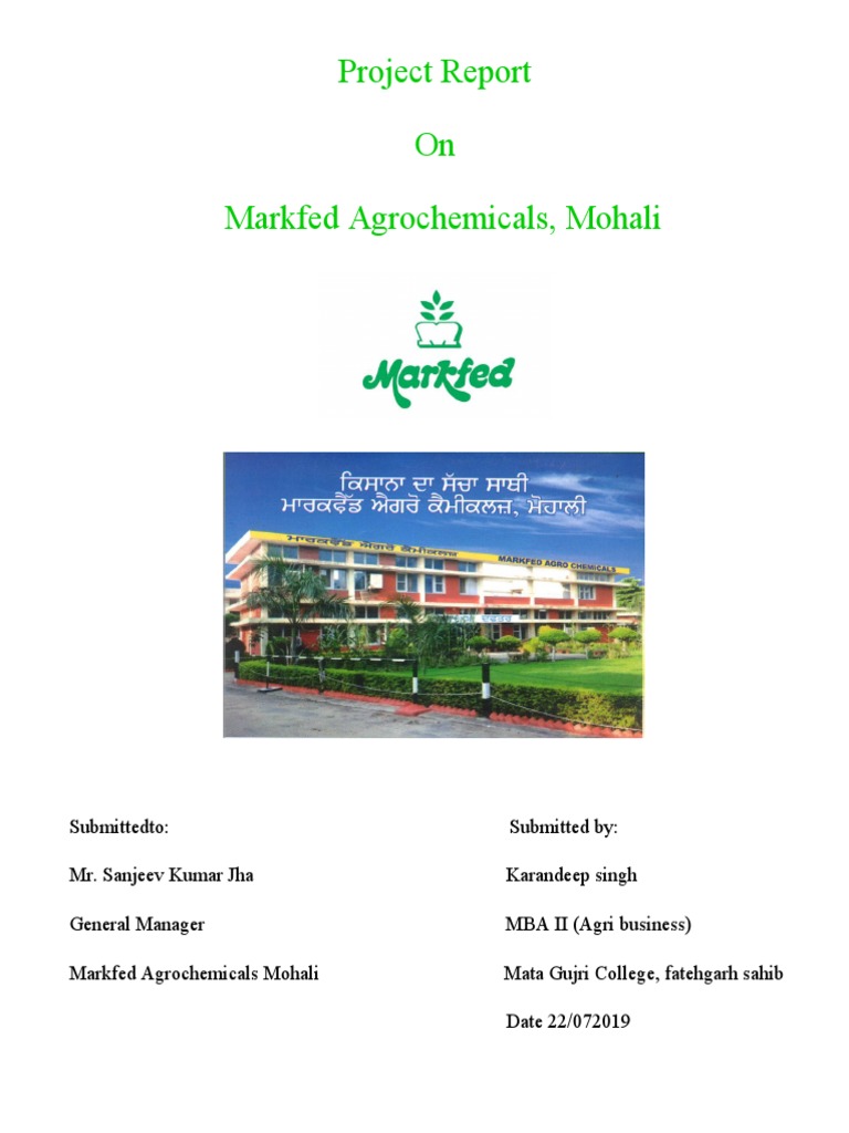 Markfed Project | PDF | Customer Satisfaction | Sampling (Statistics)