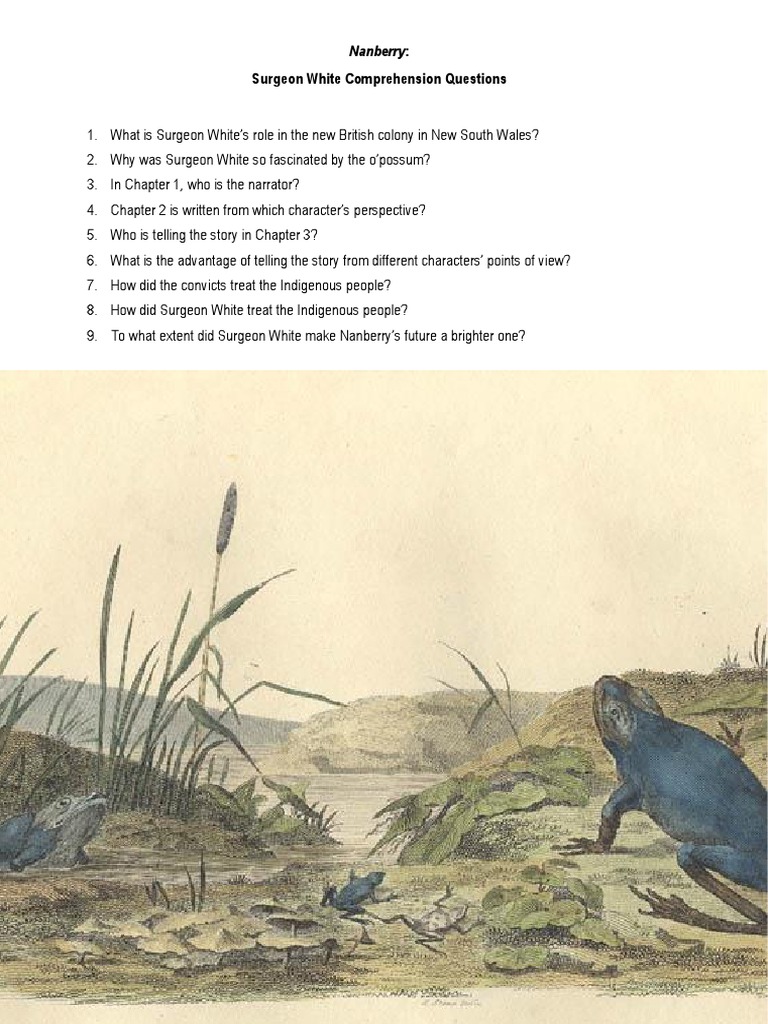 Surgeon White Comprehension Questions: Nanberry | PDF | Travel