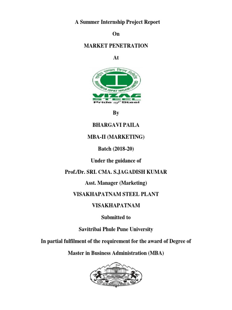 Steel Plant FINAL PROJECT | PDF | Market Segmentation | Steel