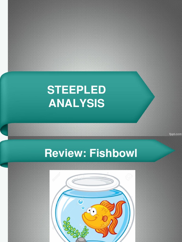 Steepled Analysis | PDF | Entrepreneurship | Business
