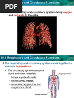 Acc Ehac Qr Handout | PDF | Myocardial Infarction | Cardiology