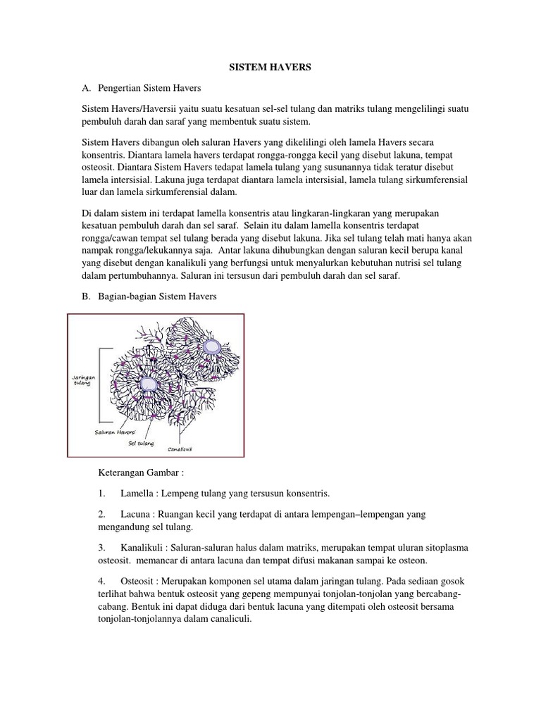 Pengertian Sistem Havers - Materi Soal