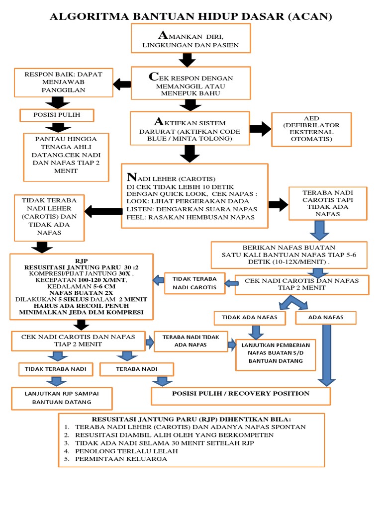 Algoritma Bantuan Hidup Dasar | PDF
