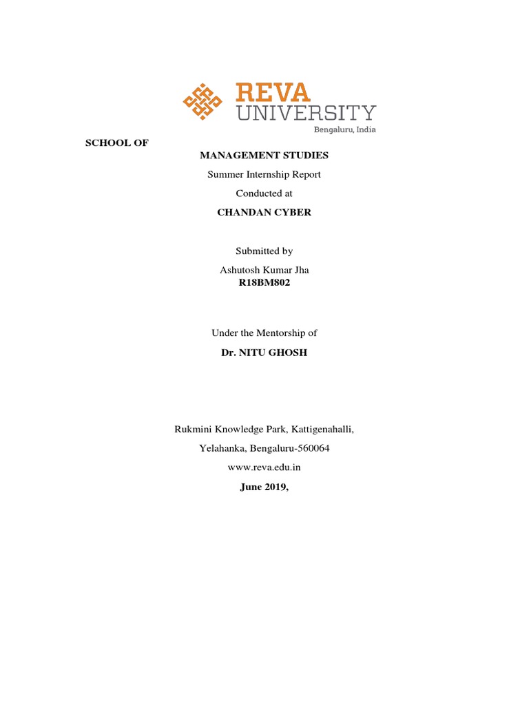 1 Summer Internship Final Report | PDF | Business