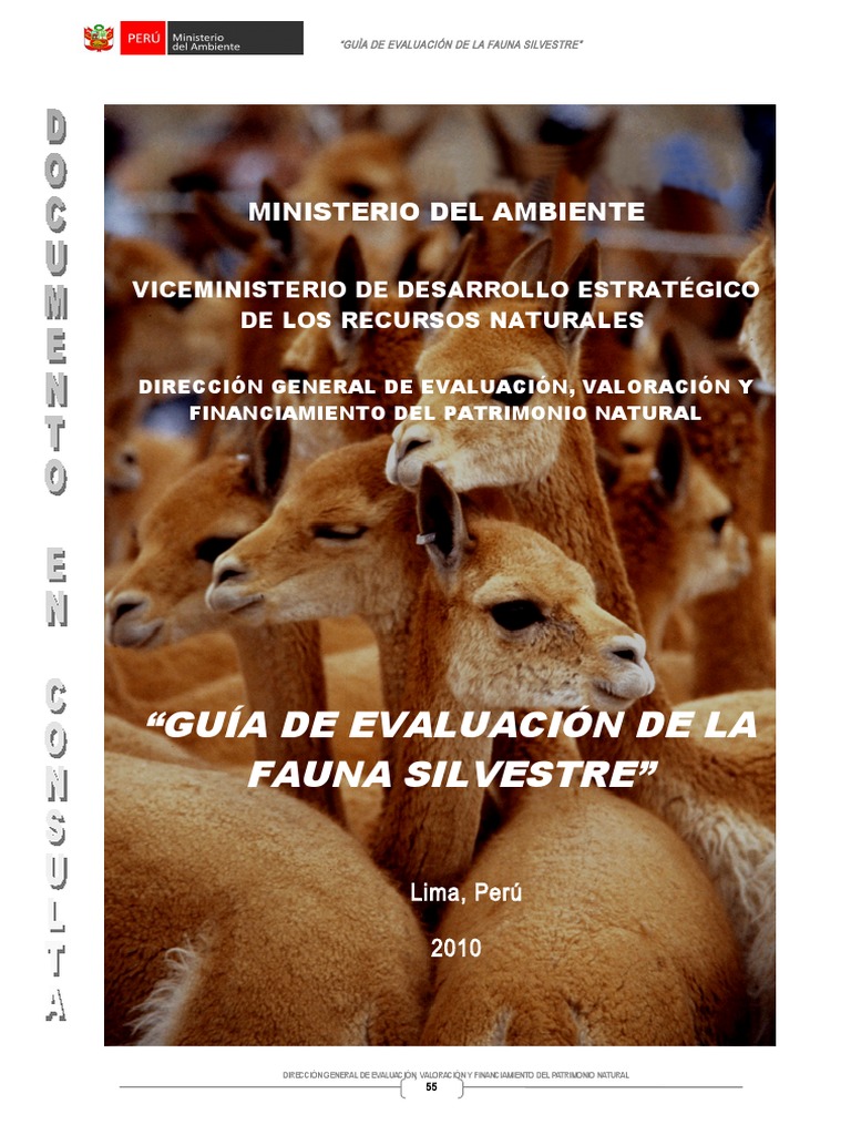 “Guía De Evaluación De La Fauna Silvestre”: Ministerio Del Ambiente | Muestreo (Estadísticas ...