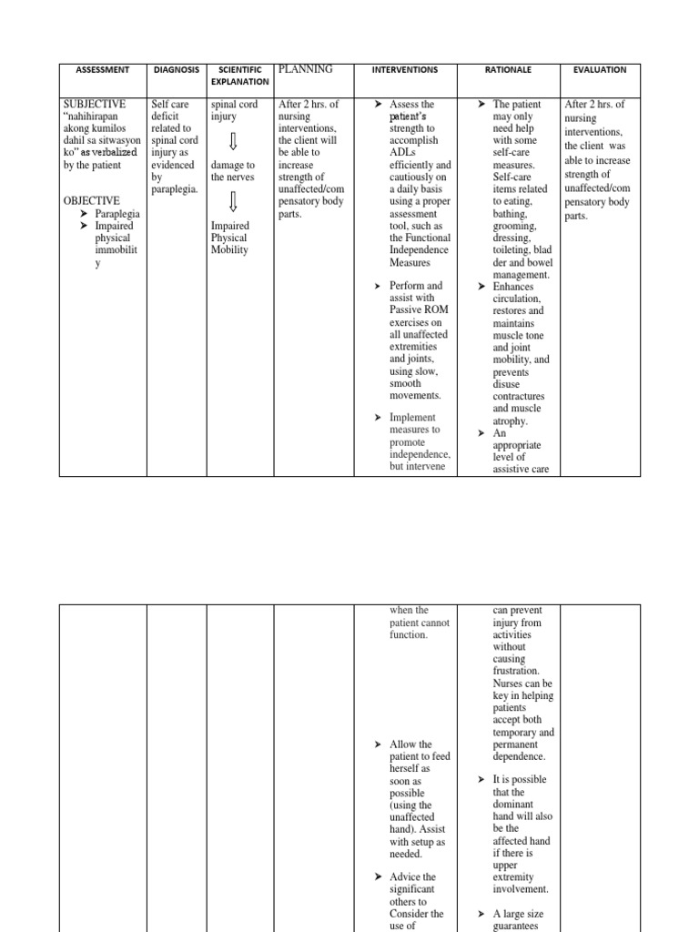 NCP Self Care Deficit | PDF | Nervous System | Medicine