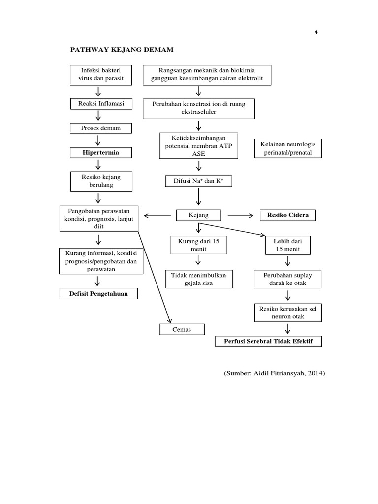 Pathway Kejang Demam | PDF