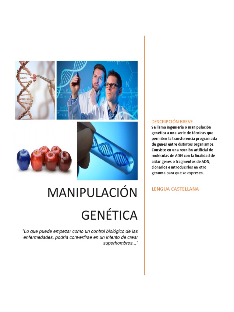Manipulacion Genetica | PDF | Ingeniería genética | Organismo genéticamente modificado