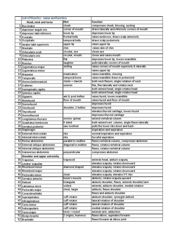 List of Muscles Functions | PDF | Human Leg | Foot
