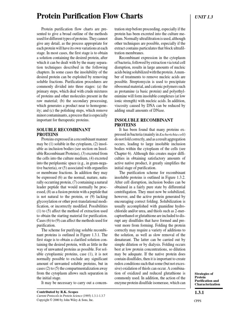 Protein Purification Flow Charts: Insoluble Recombinant Proteins | PDF ...
