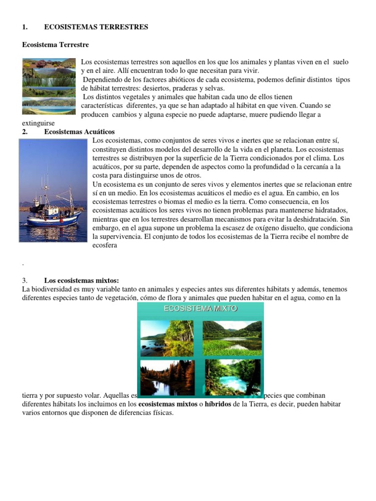 Ecosistema | PDF | Ecosistema | Habitat