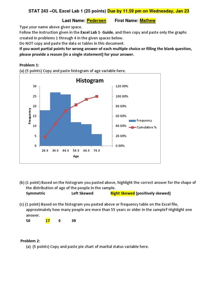 Excel Lab 1: Data Visualization Tasks | PDF | Histogram | Skewness