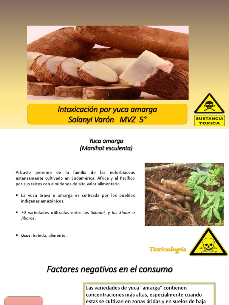 Yuca Toxica | PDF | Medicina CLINICA | Especialidades Medicas
