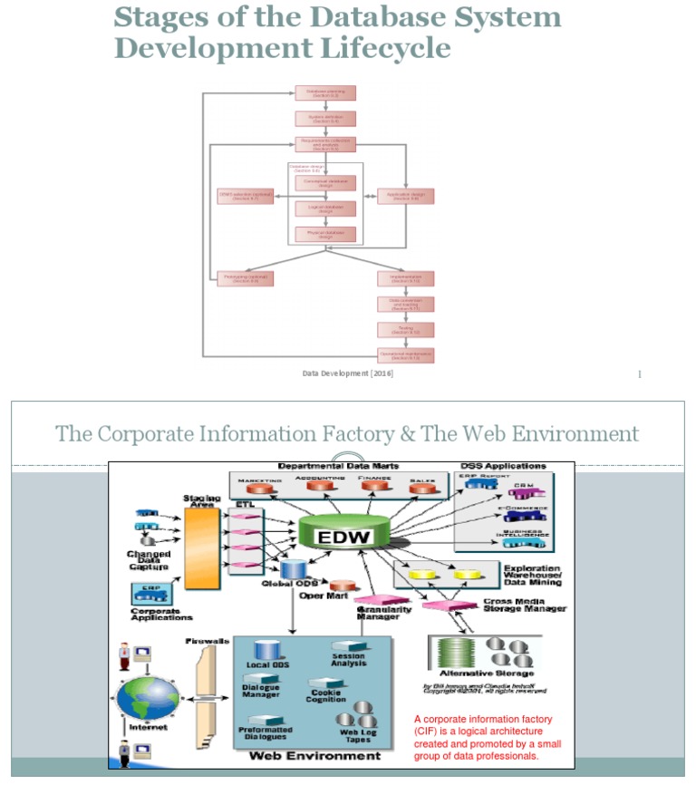 CIF in Database Development Lifecycle | PDF