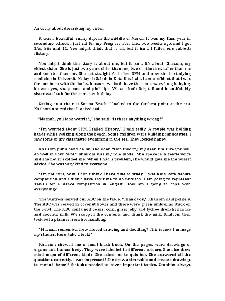 An Essay About Describing My Sister | PDF