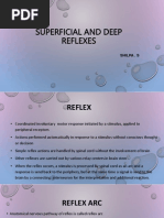 Tenderness Grading PDF | PDF | Medical Specialties | Musculoskeletal System