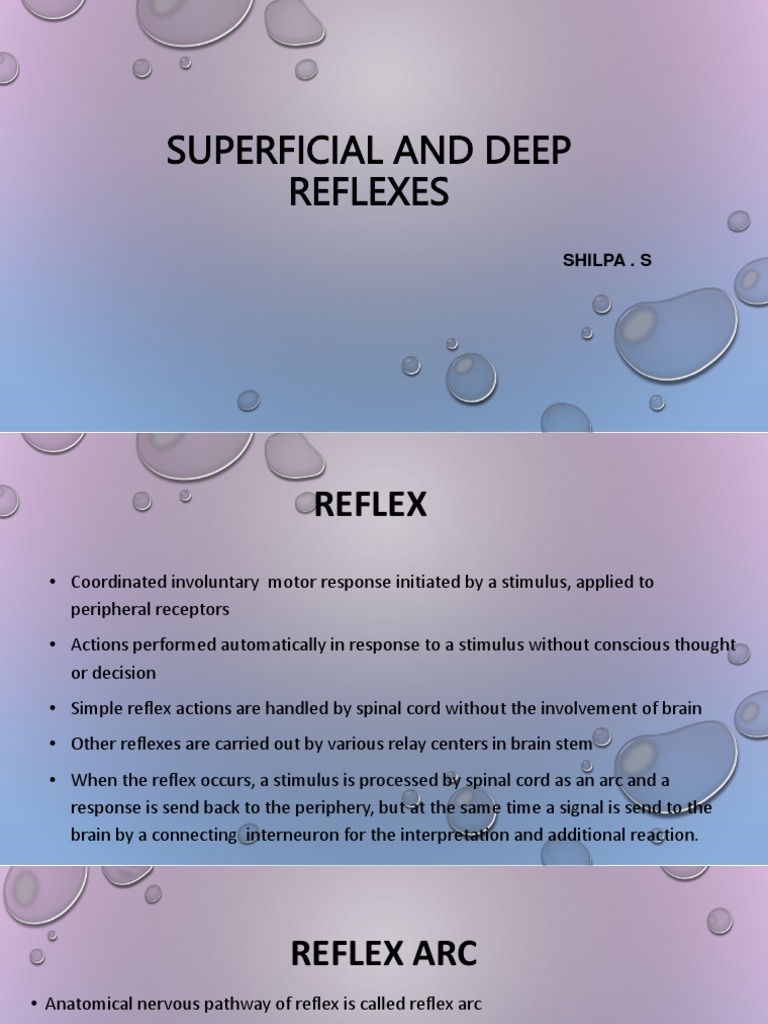 Superficial and Deep Reflexes | PDF | Anatomical Terms Of Motion | Elbow