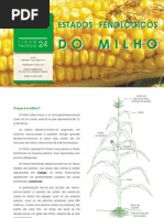 Arasolo - Tabelas de Conversão | PDF