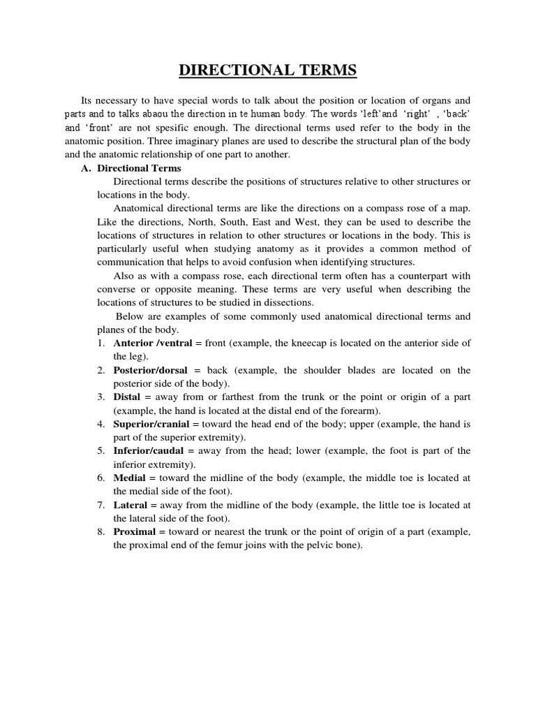 DIRECTIONAL TERMS AND BODY CAVITIES | PDF | Anatomical Terms Of ...