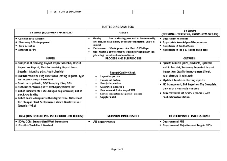 04 Turtle Diagrams | PDF | Audit | Computing