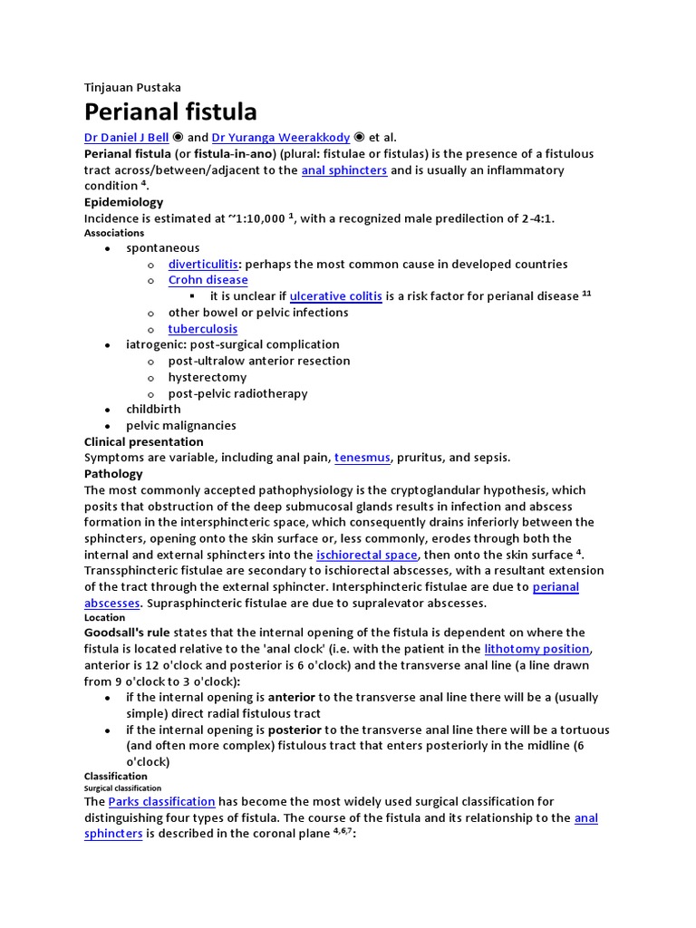 Tinjauan Pustaka Fistula Perianal | PDF | Medical Ultrasound | Magnetic ...
