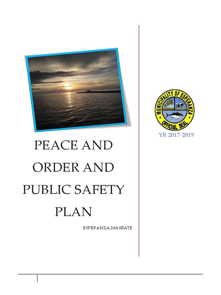 2017-2019 Pops Plan Final | PDF | Poverty | Poverty & Homelessness