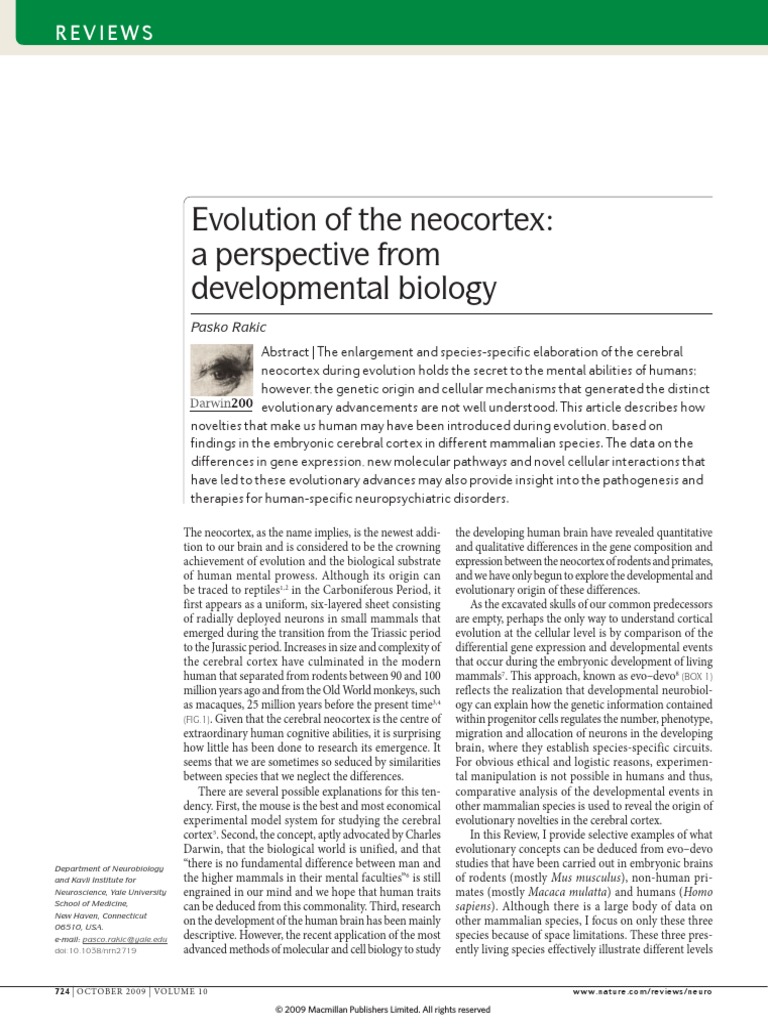 Evolution of The Neocortex: A Perspective From Developmental Biology | PDF | Neocortex ...