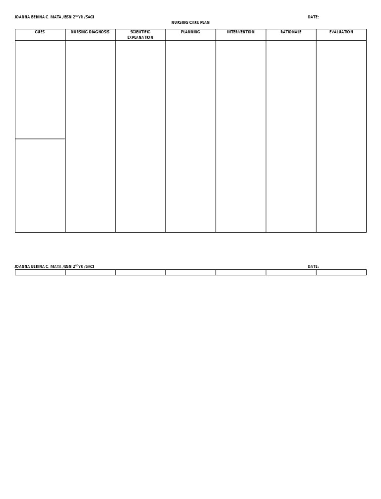 Nursing Care Plan | PDF