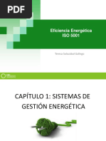 Auditoria Energetica Aplicando La Norma Iso 50002 | PDF | Gestión ...