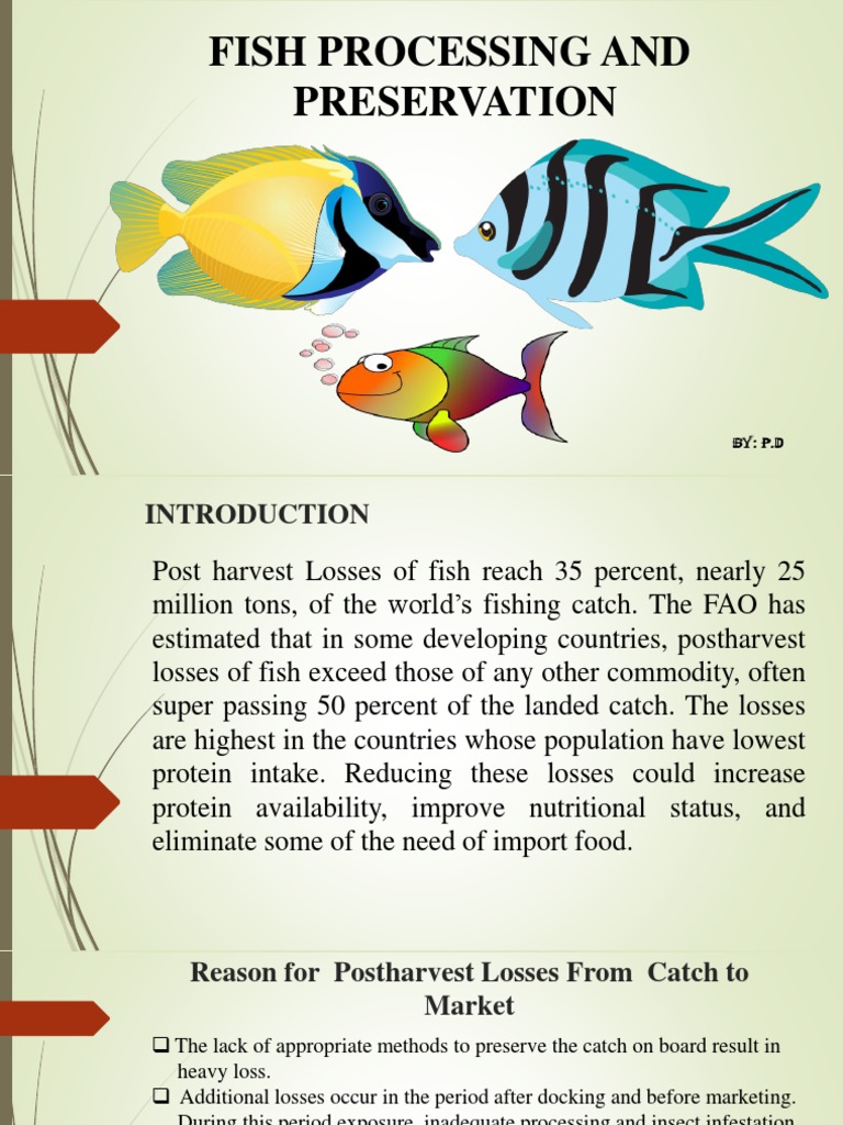 Fish Processing | PDF | Decomposition | Smoking (Cooking)