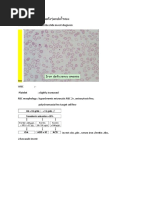 Inhomesss Checklist | PDF