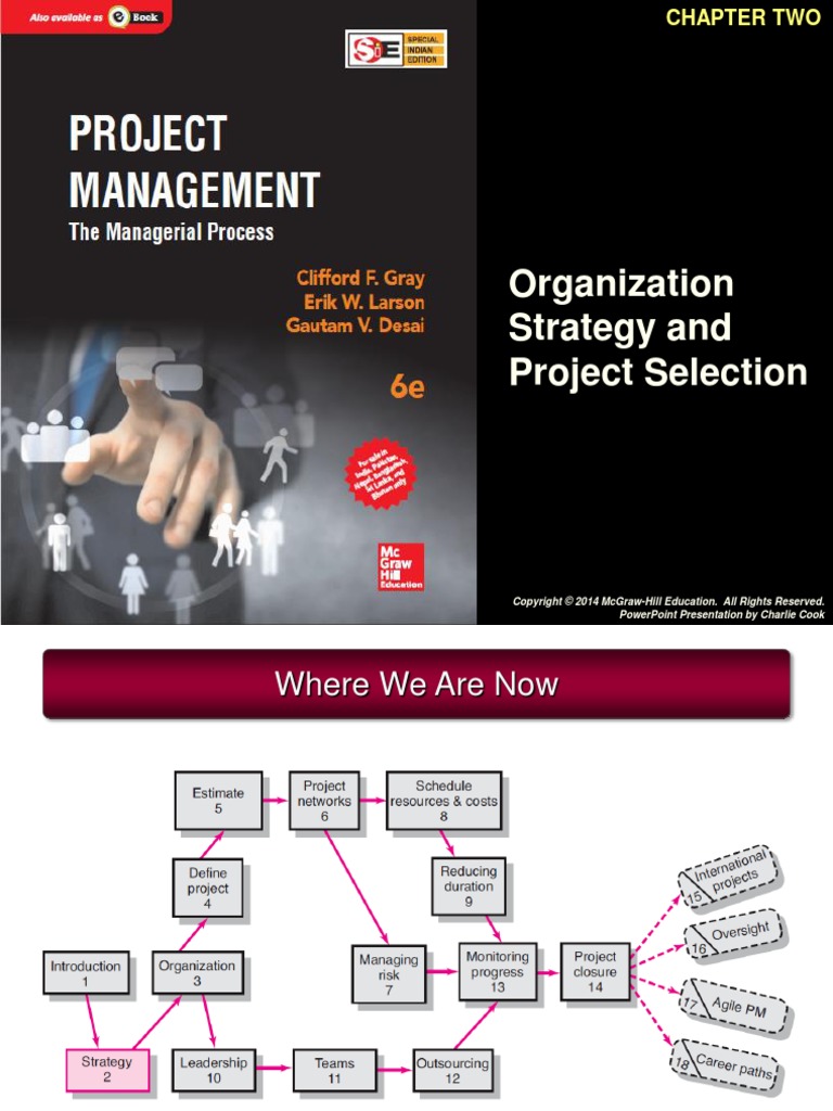 Organization Strategy and Project Selection: Powerpoint Presentation by ...