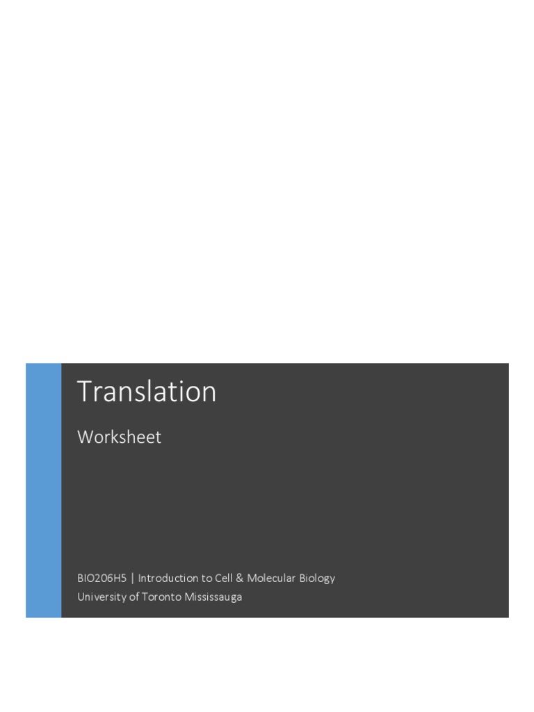 E-Bio 206 - Translation Worksheet | PDF | Translation (Biology ...