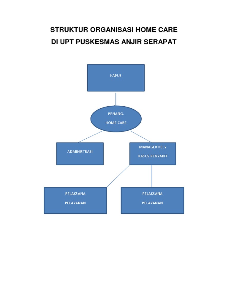 Struktur Organisasi Home Care | PDF