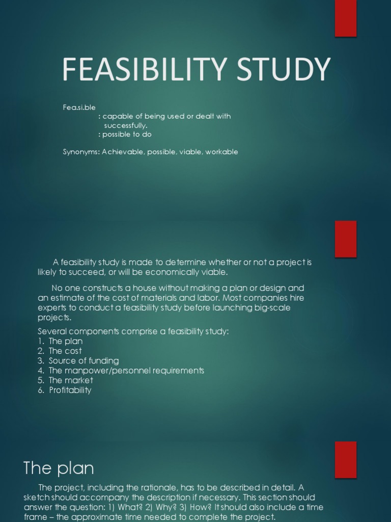 Feasibility Study Report | PDF | Feasibility Study | Employment