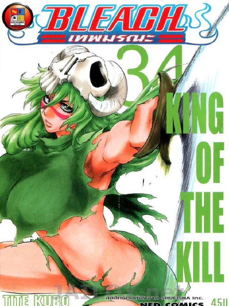 Bleach 34 | PDF